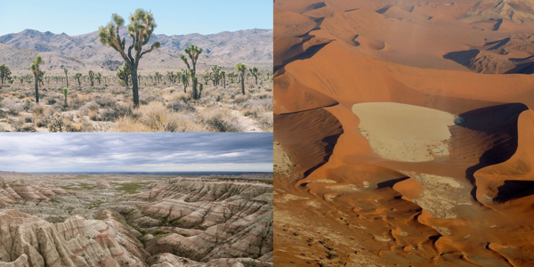 Desert - Dwarf Fortress Wiki